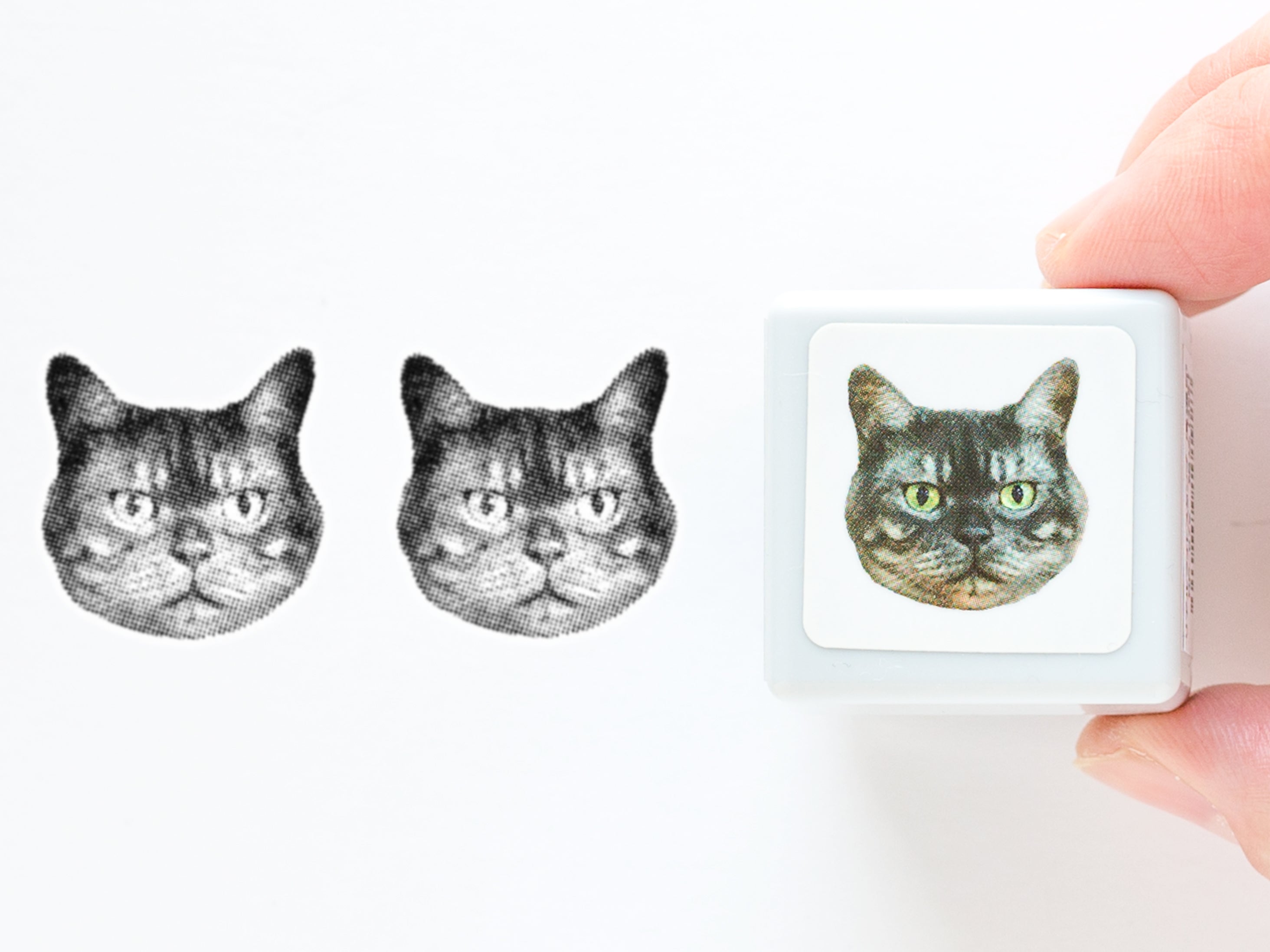 Real photo stamp -Cat "BOO"- – Fantastic Japan