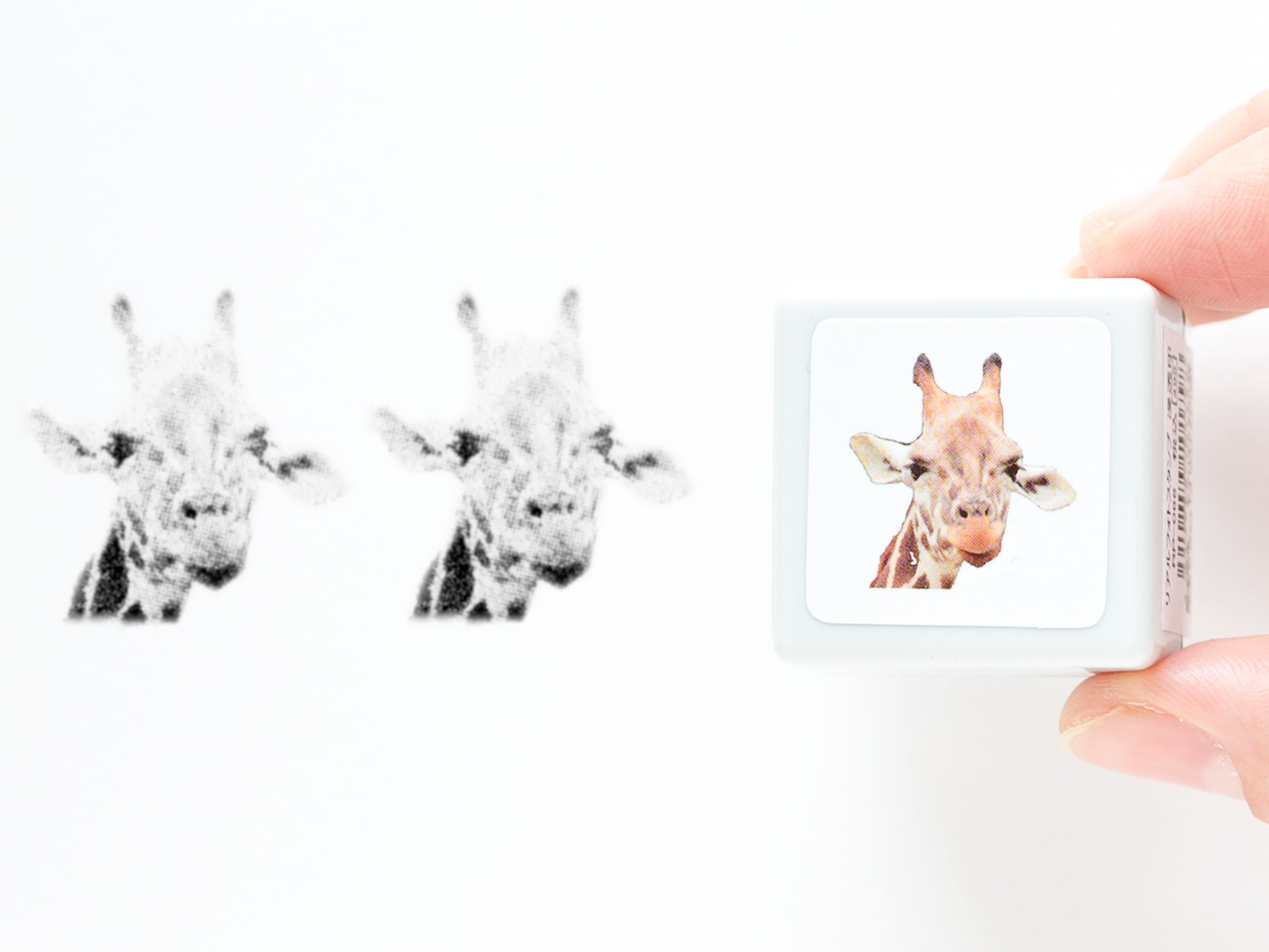 Real photo stamp -Giraffe- – Fantastic Japan