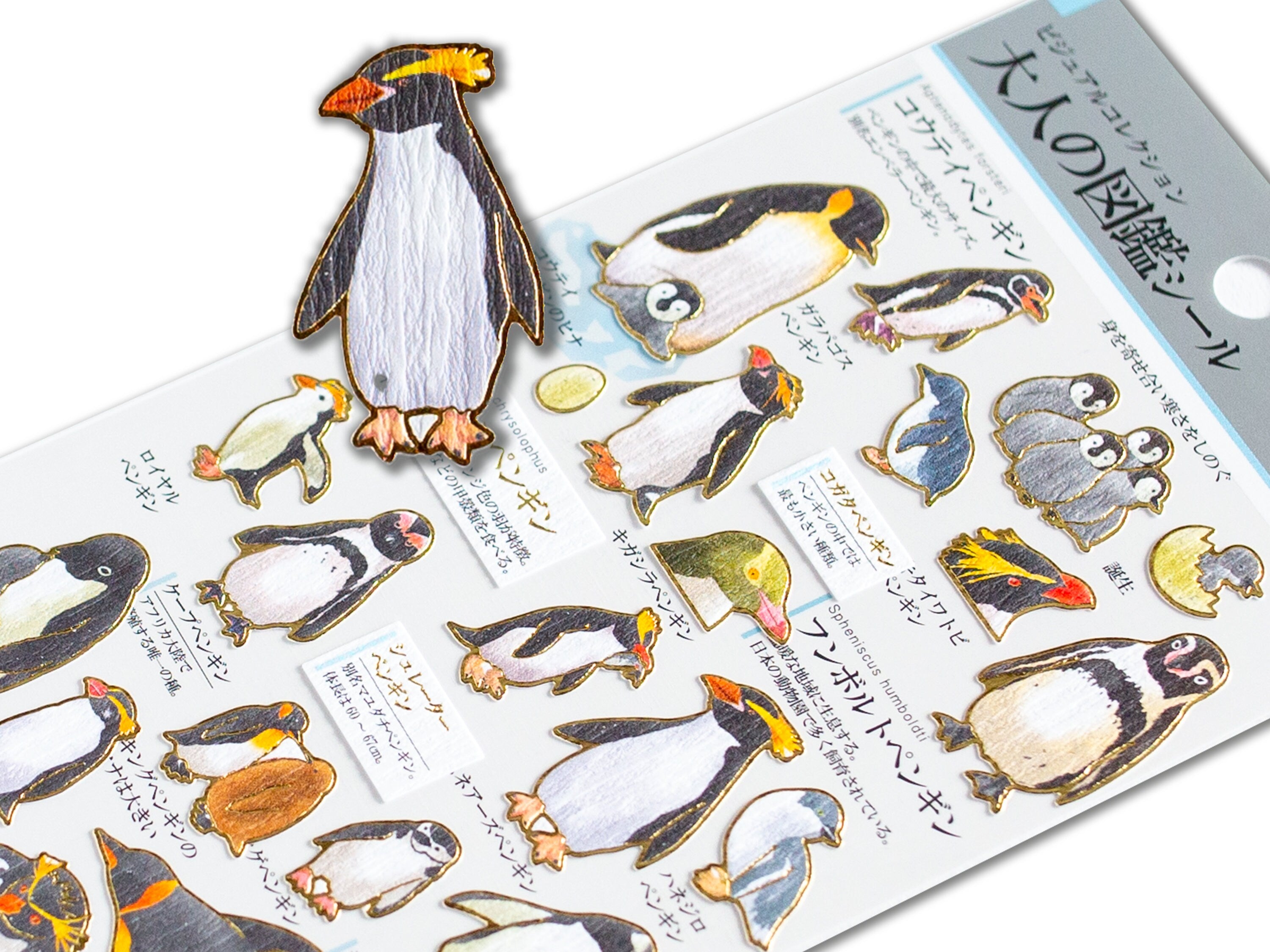 Gold foil adult visual dictionary sticker -penguins- – Fantastic Japan