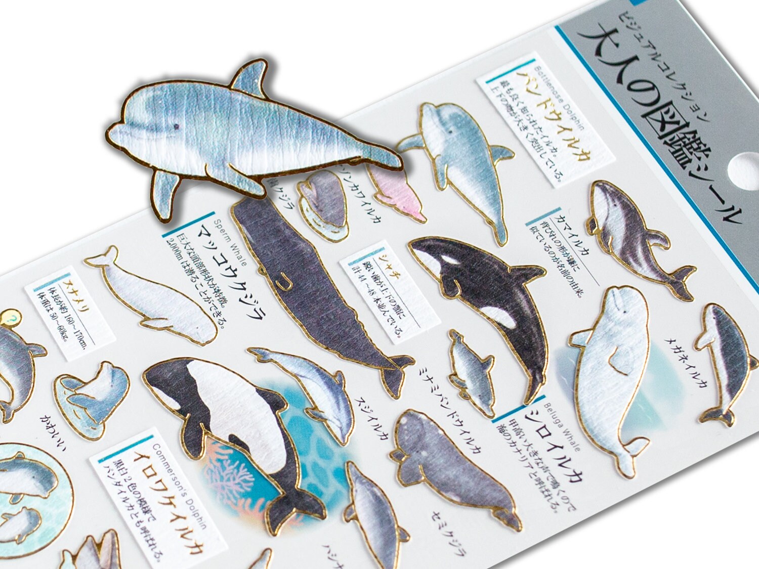 Gold foil adult visual dictionary sticker -Dolphin and Whales ...